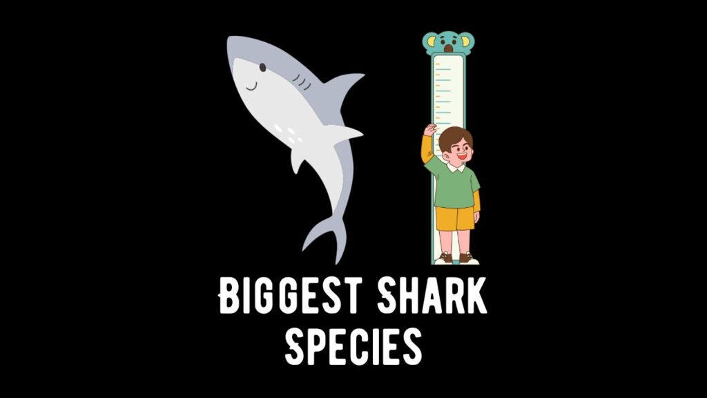 12 Smallest Shark Species: A Comprehensive Exploration - Shark Truth