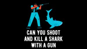 Can You Shoot And Kill A Shark With A Gun? 10 Approved Methods - Shark ...