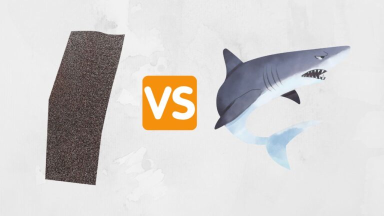 Shark Skin vs Sandpaper - Exploring Texture, Composition and Uses ...