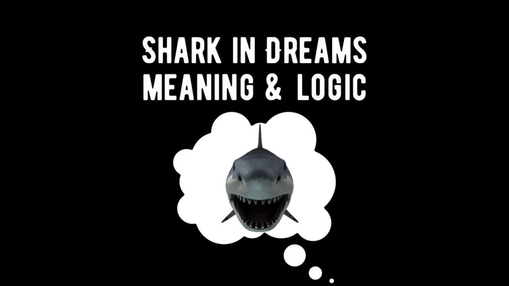 Sharks In Dreams Meanings And Interpretations: "Diving into the Depths ...
