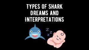 20 Types of Shark Dreams and Their Interpretations - Shark Truth