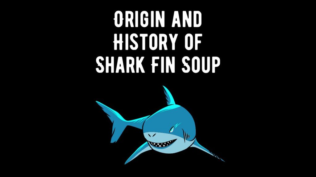 Origin and History of Shark Fin Soup - Shark Truth