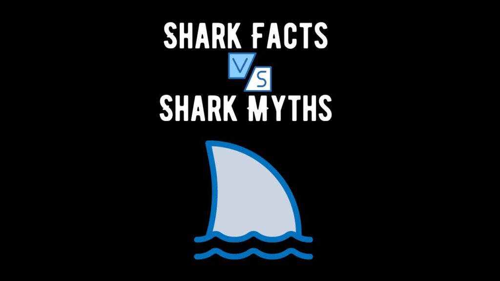 10 Important Shark Facts vs Shark Myths - Shark Truth