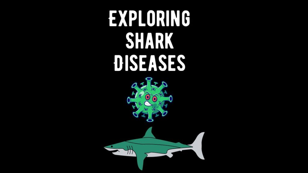 8 Shark Diseases: Health Challenges in the Depths - Shark Truth