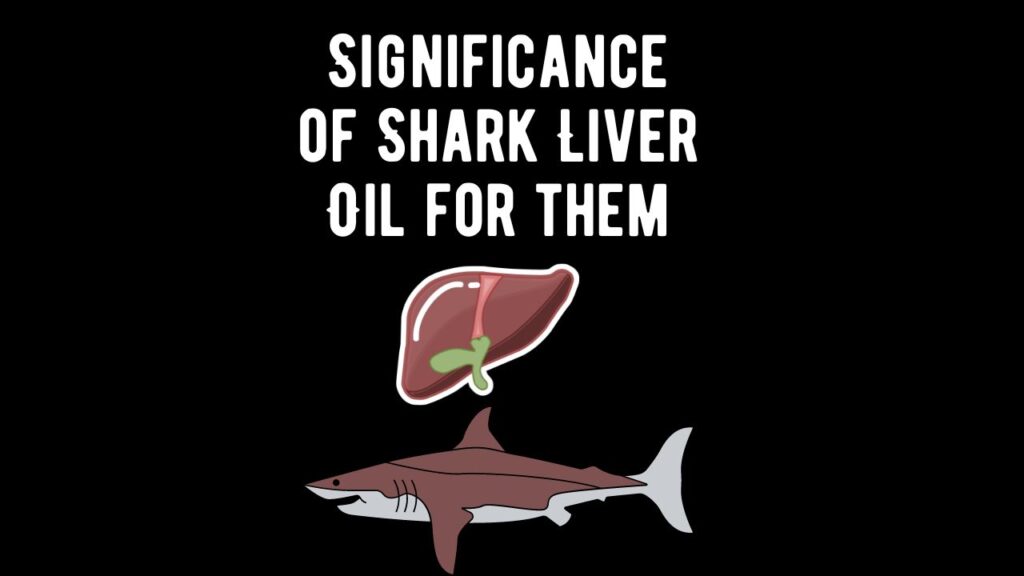 The Significance of Shark Liver Oil for Sharks - Shark Truth